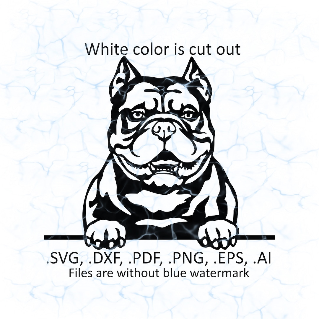 American Bully Svg Vector, American Bully Peeking Logo, Pdf, Dxf, Ai ...