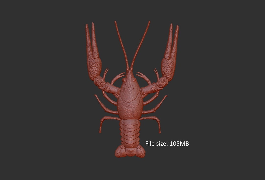 Crayfish 3d Stl Model Relief Element, CNC Router Engraver, CNC Files - Etsy