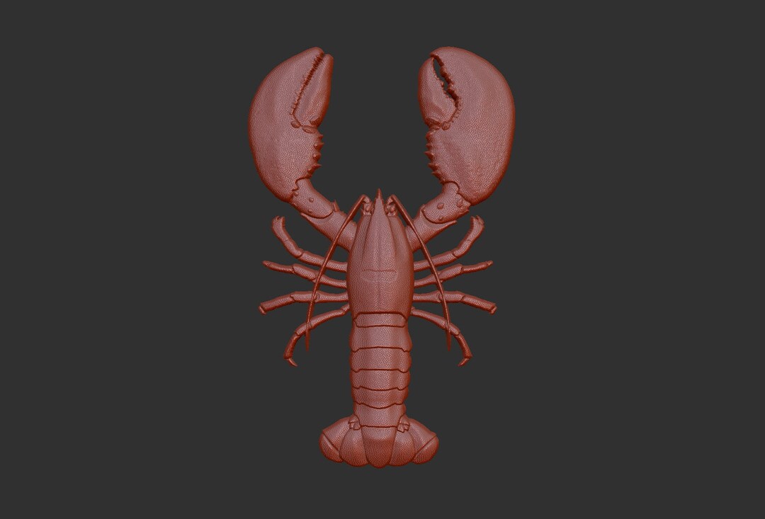Lobster 3d Stl Model Relief Element, CNC Router Engraver, CNC Files - Etsy