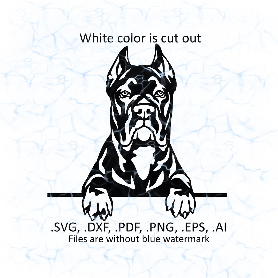 Cane Corso Svg Vector, Cane Corso Peeking Logo, Pdf, Dxf, Ai, Eps, Png ...