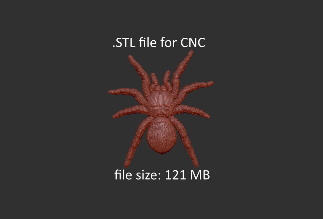 Tarantula Spyder 3d Stl Relief Model, CNC Router Engraver, CNC Files - Etsy