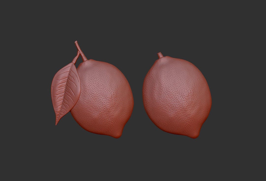Lemon 3d Stl Model Relief Element, CNC Files - Etsy
