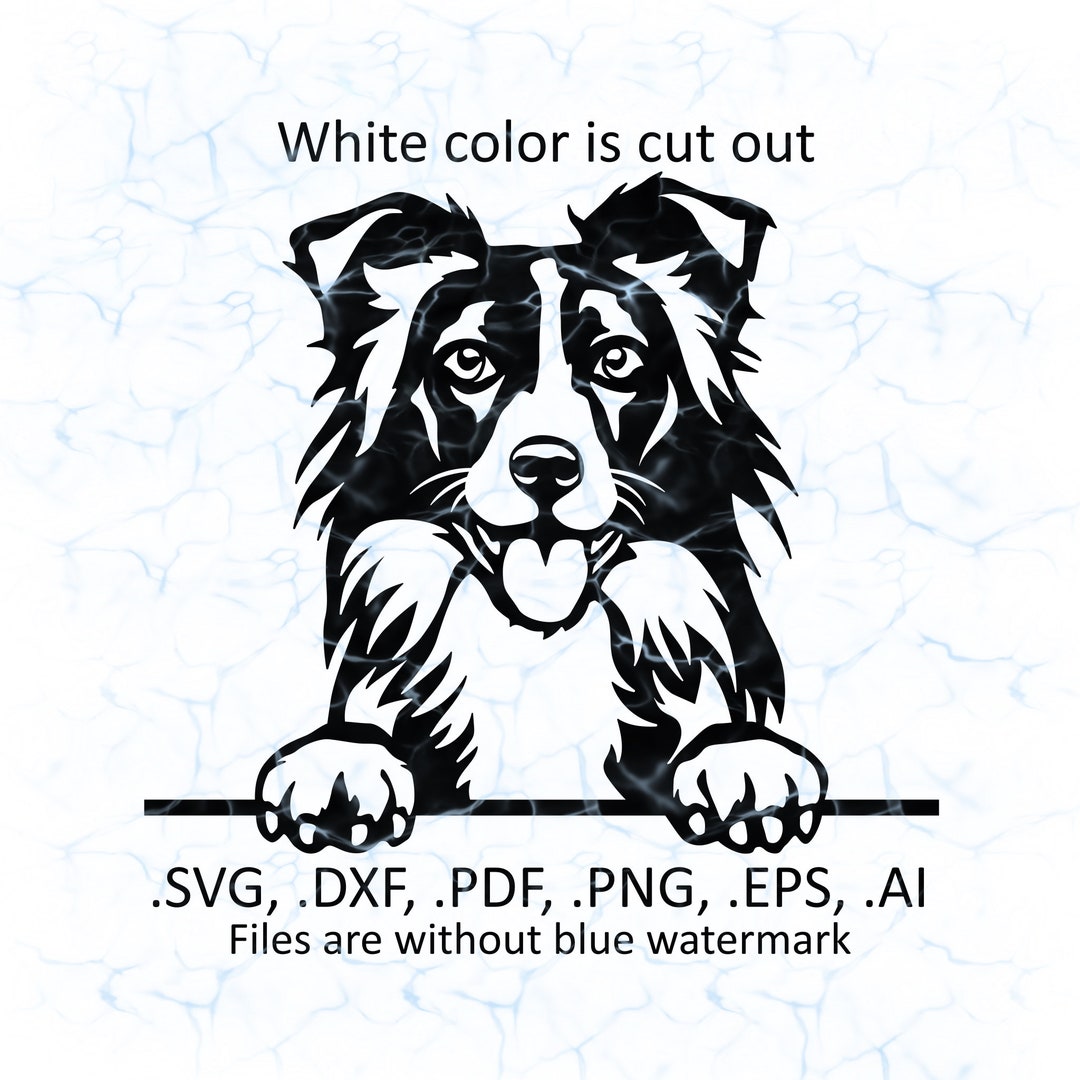Border Collie Svg Vector, Border Collie Peeking Logo, Pdf, Dxf, Ai, Eps ...
