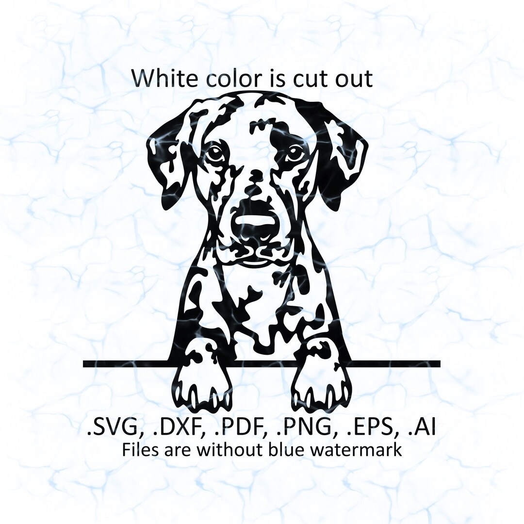 Dalmatian Svg Vector, Dalmatian Peeking Logo, Pdf, Dxf, Ai, Eps, Png ...