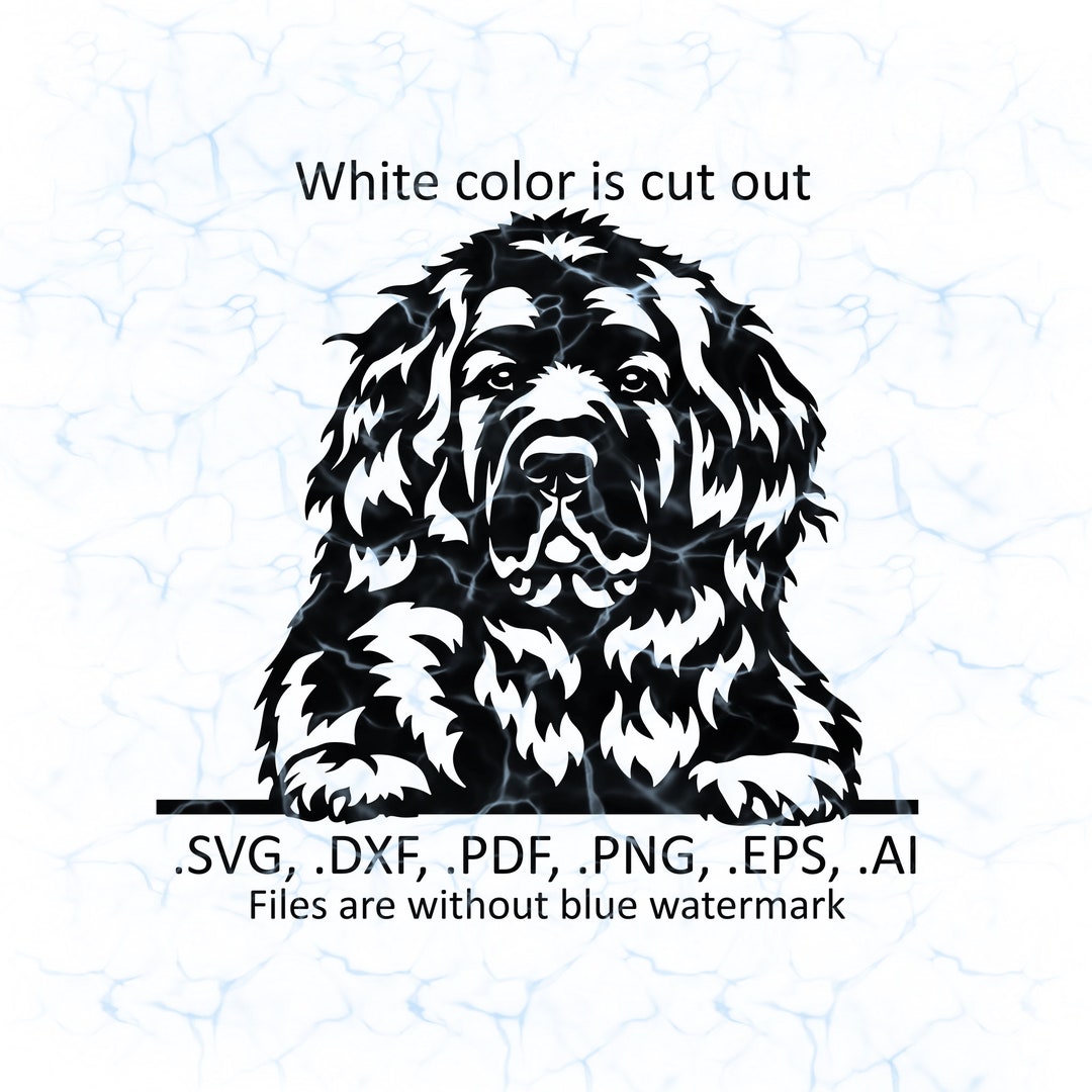 Newfoundland Dog Svg Vector, Newfoundland Dog Peeking Logo, Pdf, Dxf ...