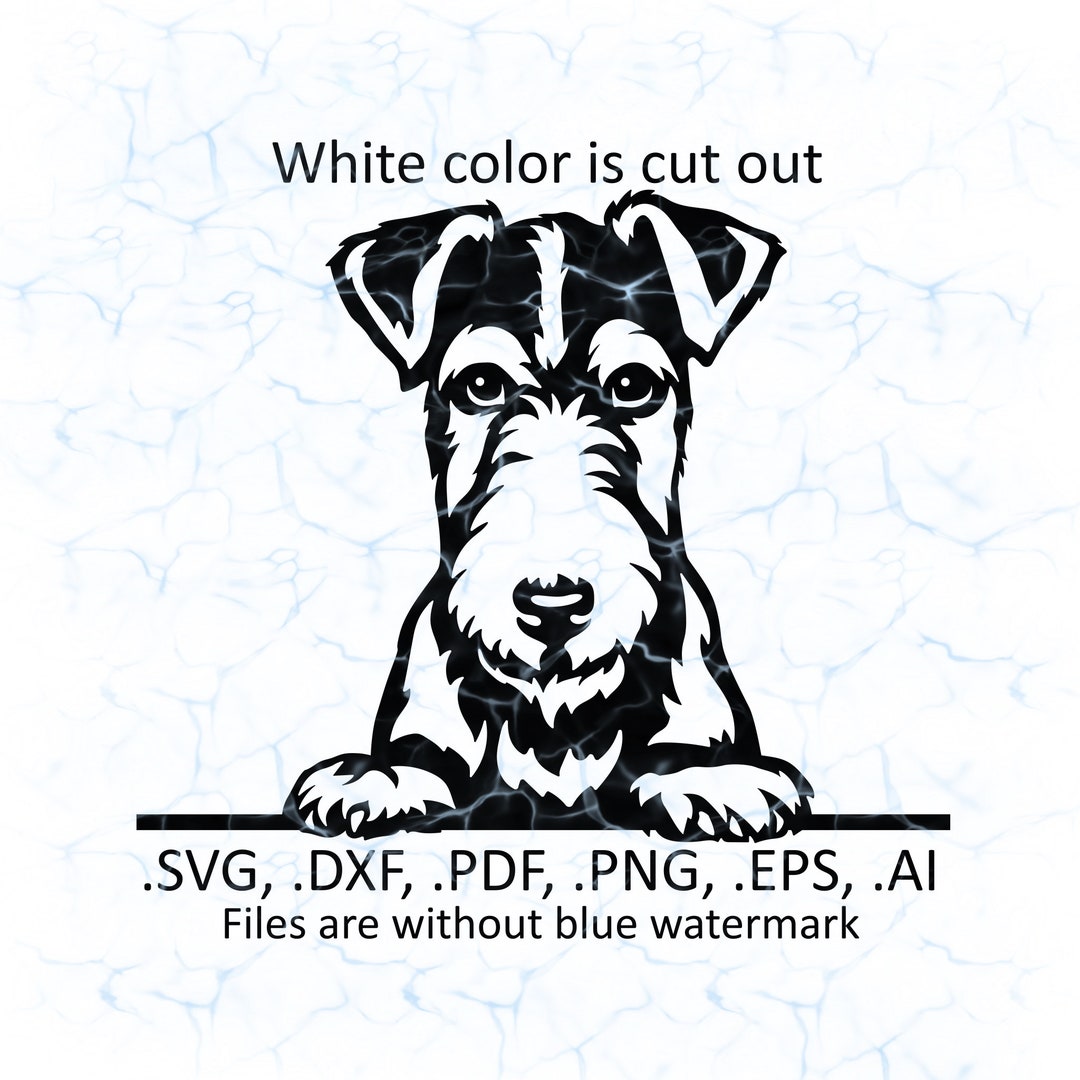 Wire Fox Terrier Svg Vector, Wire Fox Terrier Peeking Logo, Pdf, Dxf ...