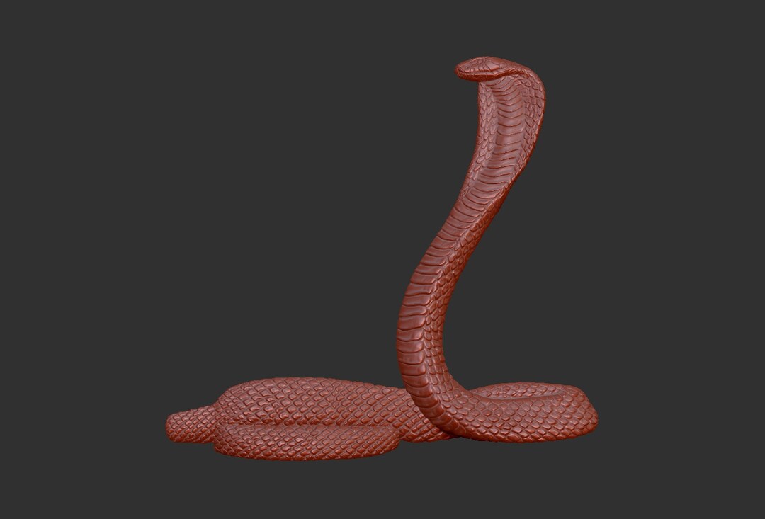 Cobra Snake Stl 3d Model Relief Element, CNC Router Engraver, CNC Files ...