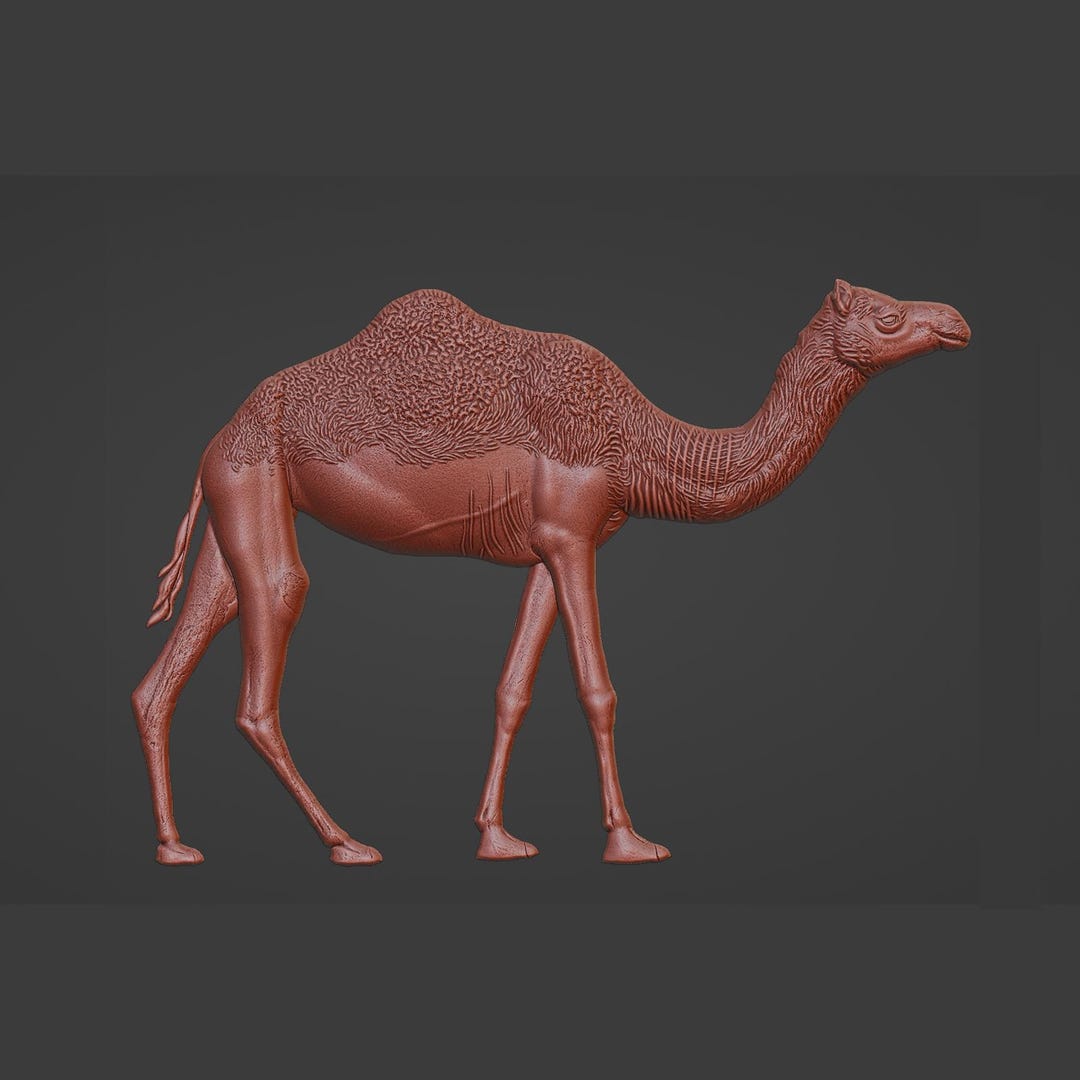 Camel 3d .stl Model Relief Element, CNC Files - Etsy
