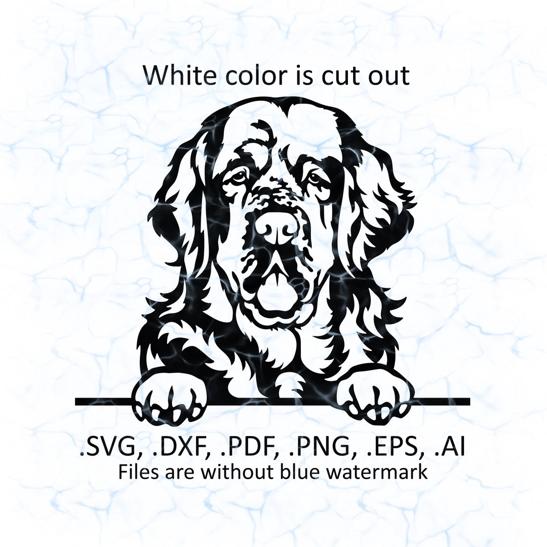 Clumber Spaniel Svg Vector, Clumber Spaniel Peeking Logo, Pdf, Dxf, Ai ...