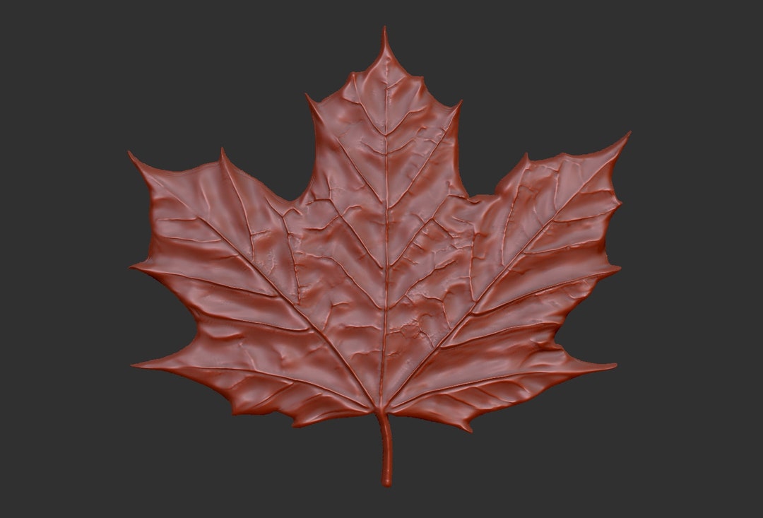 Maple Leaf 3d Stl Model Relief Element Wall Decor CNC Router - Etsy