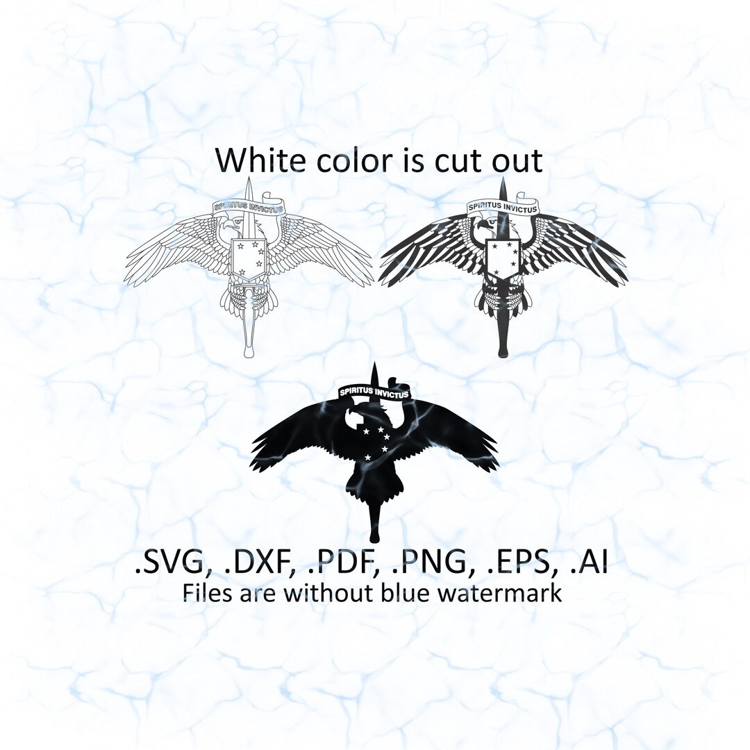 Marine Special Operator, USMC Raider Dagger, MARSOC Insignia Svg Vector ...