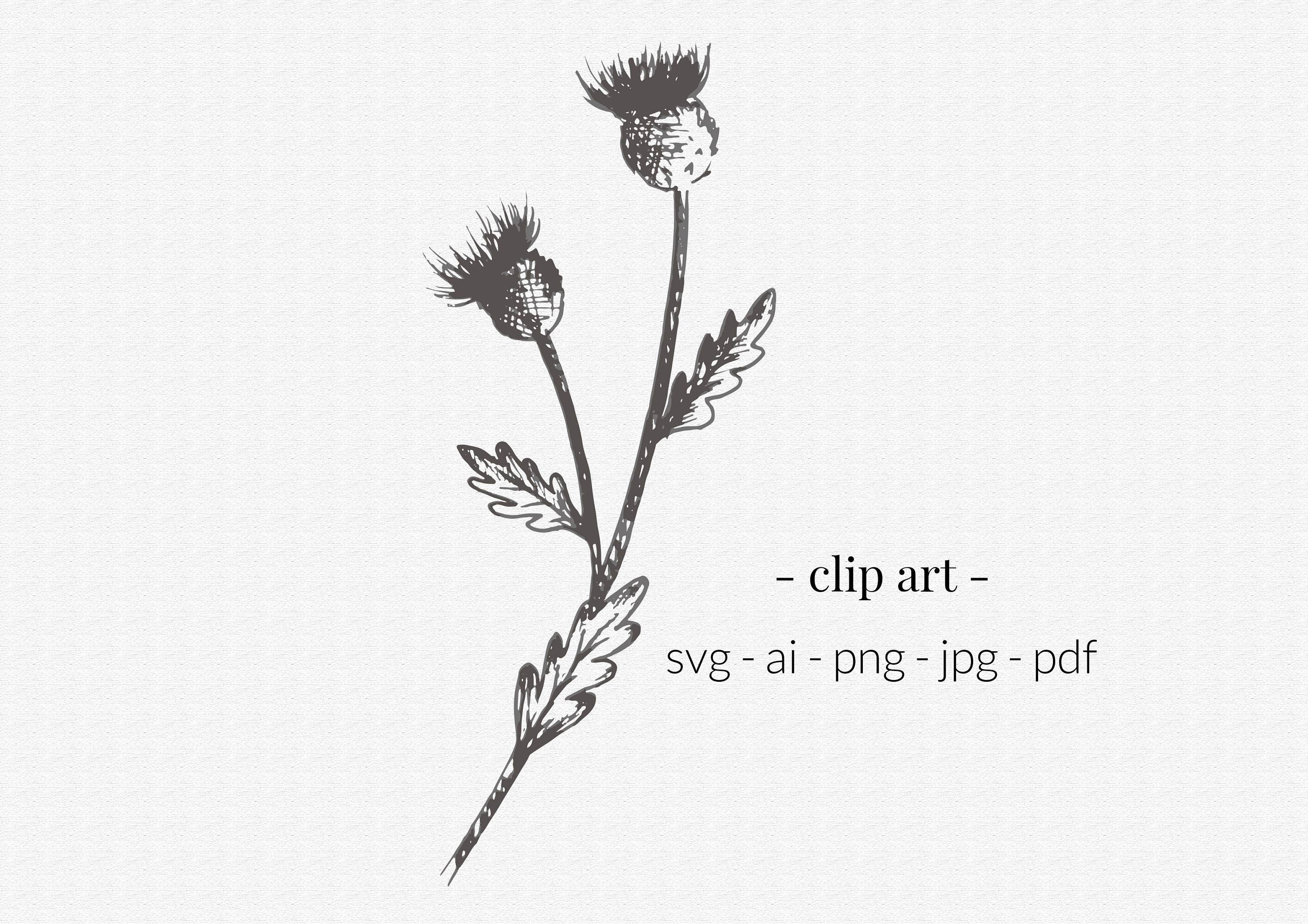 Thistle Svg