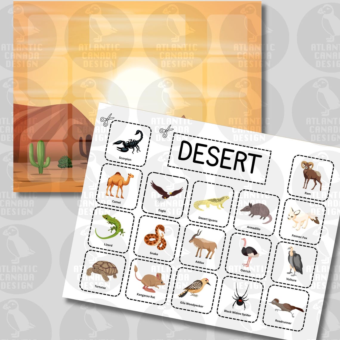 Animal Habitat Sorting Activity, Preschool Animal Habitat, Animal ...