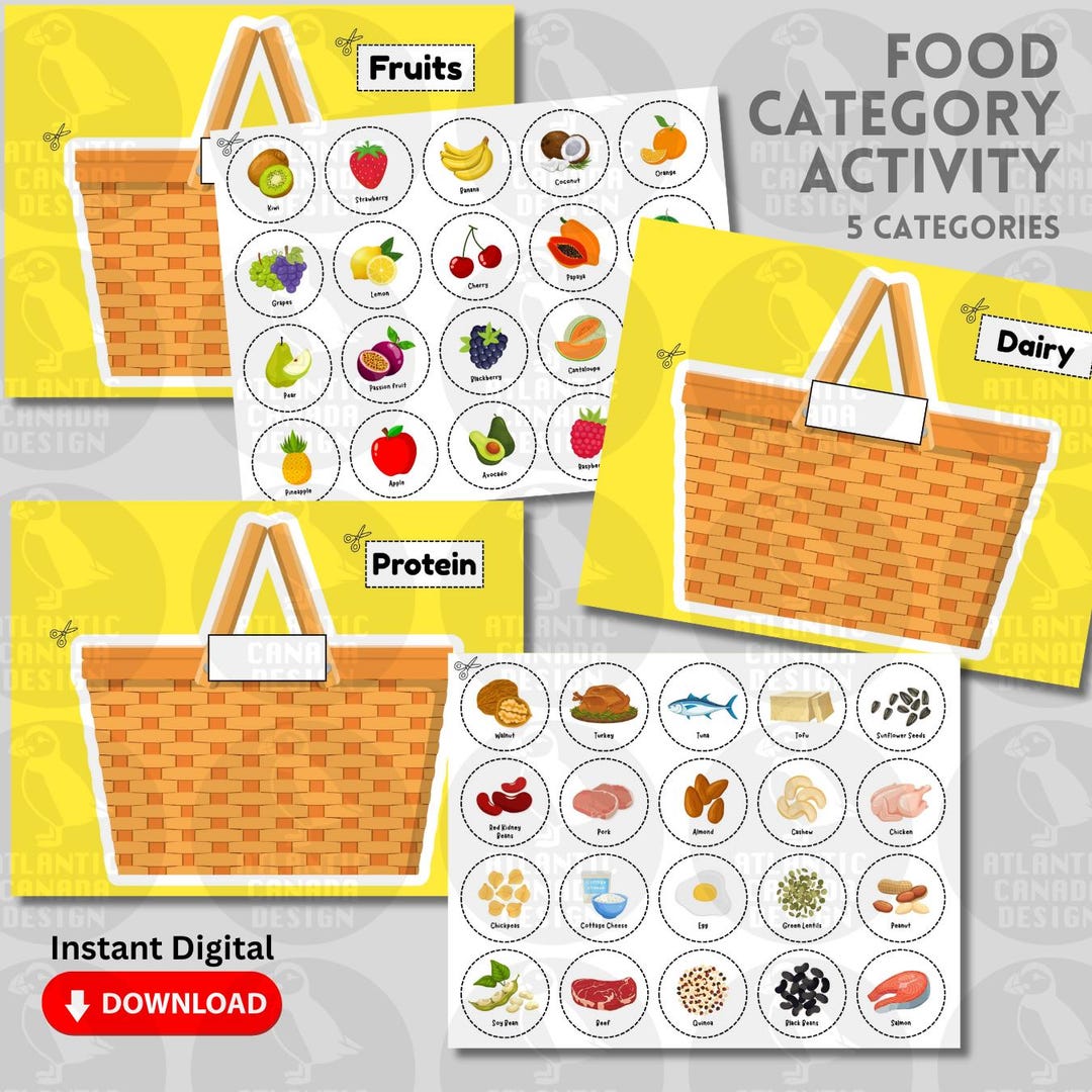 Food Category Sorting Activity for Kids (PDF) - Etsy