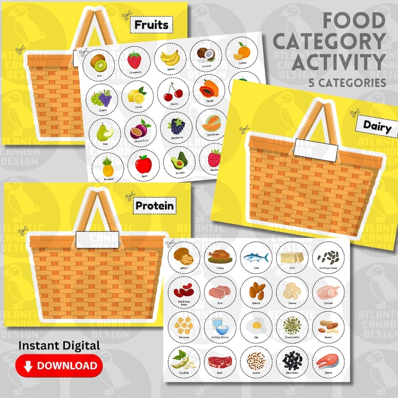 Food Category Sorting Activity for Kids (PDF) - Etsy