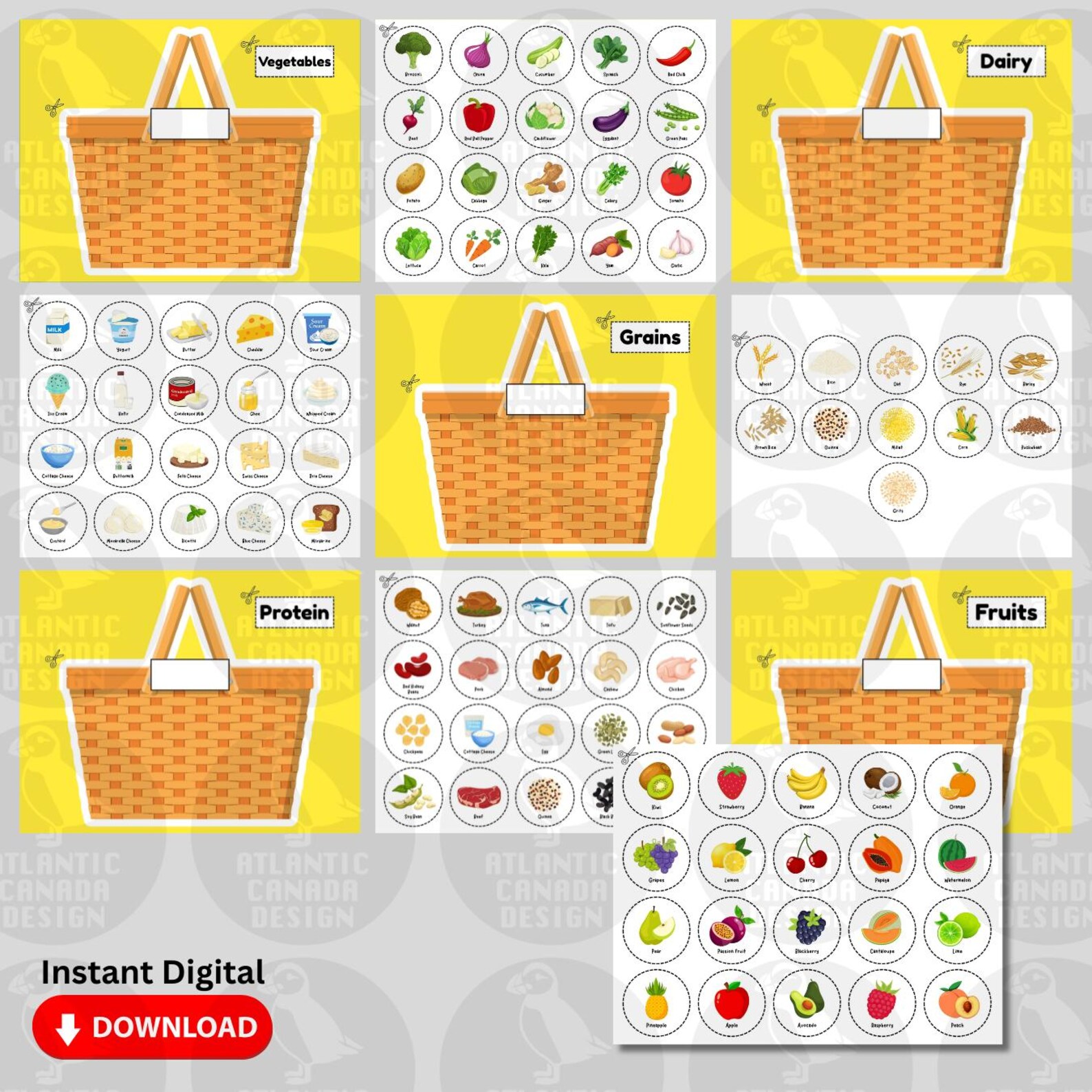 Food Category Sorting Activity for Kids (PDF) - Etsy