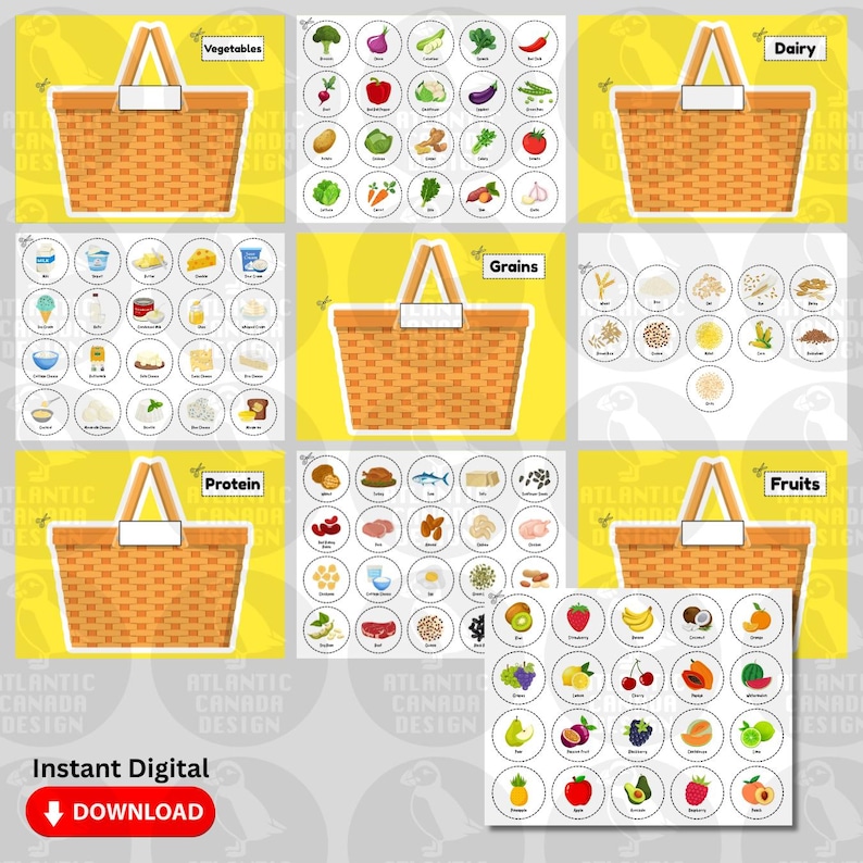 Food Category Sorting Activity for Kids (PDF) - Etsy