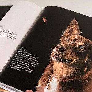 Shoot the Dog - Volume THREE - Coffee Table Book (250 Pages, Hard Cover ...