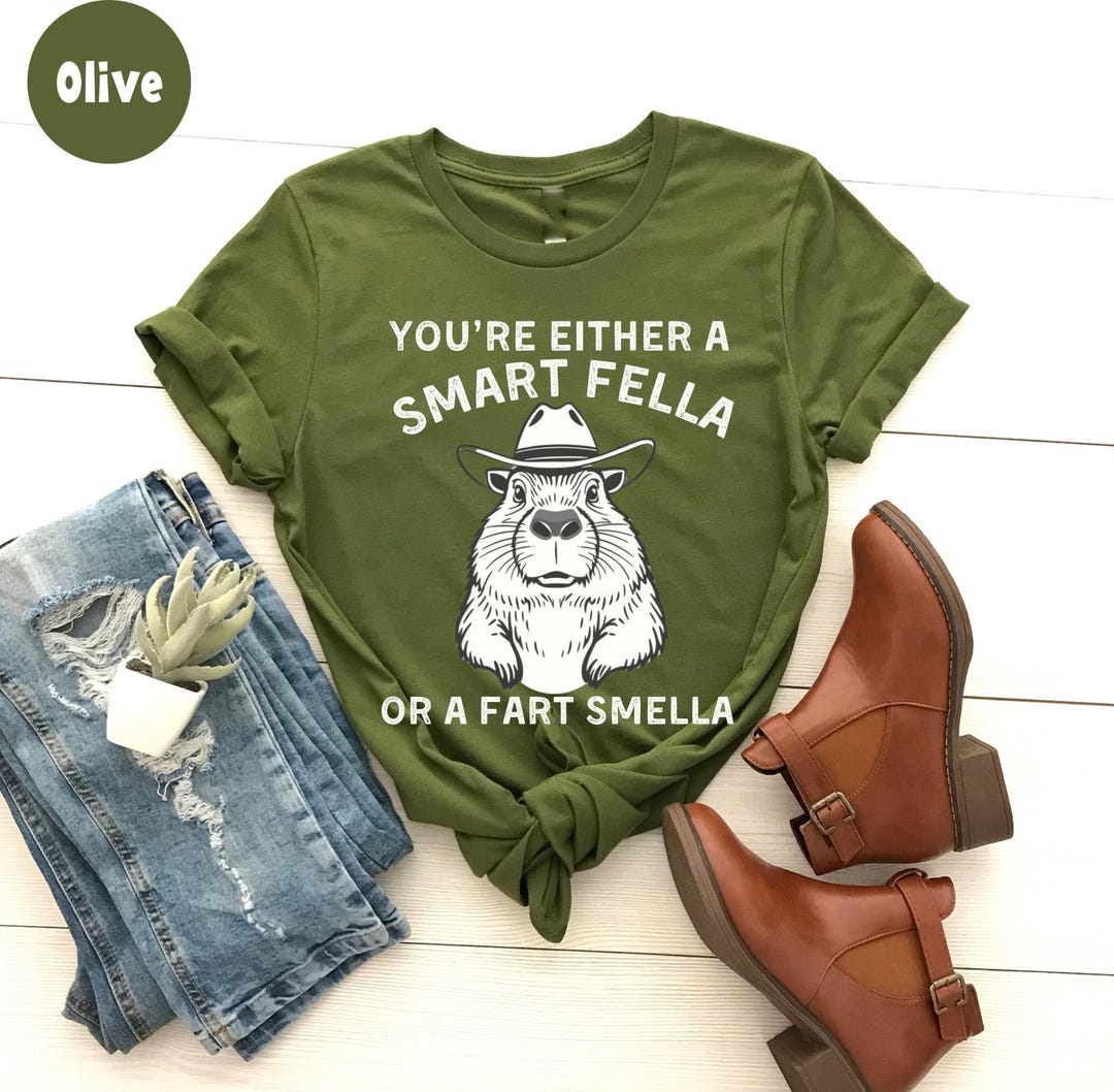 You're Either A Smart Fella or A Fart Smella Funny Sarcastic T-shirt ...