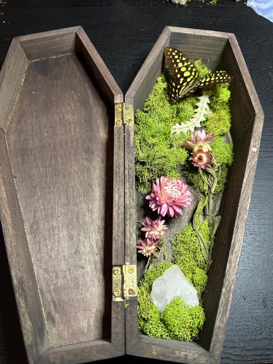 Butterfly and Snake Bone Coffin Oddity Oddities and Curiosities Bone ...