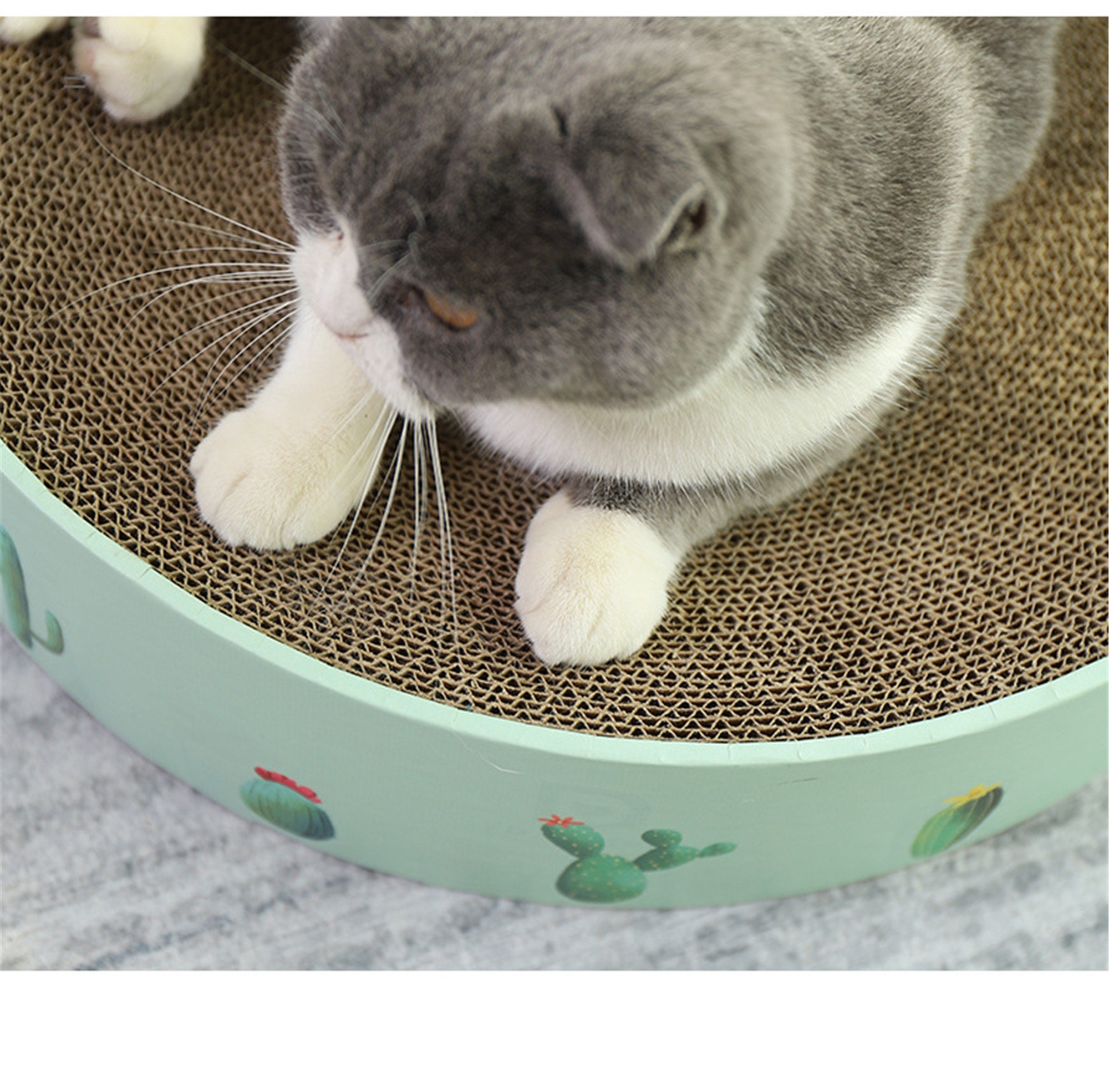 Cat Scratch Board Corrugated Paper Round Model Cat Scratcher | Etsy