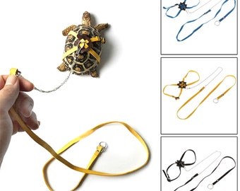 Tortoise Leash - Etsy