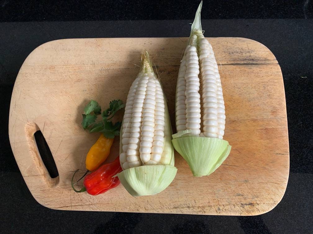 25 Giant Cuzco Corn Seeds World's Largest Kernels Direct - Etsy