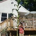 Tall Corn! Rare! 25 Seeds! Fun and Easy to Grow! 20+ Feet Tall Possible ...