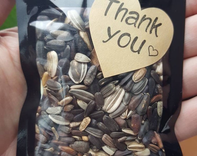 Gypsy Charmer Sunflower Seeds, Tricolor 4-6' Branching Sunflowers ...