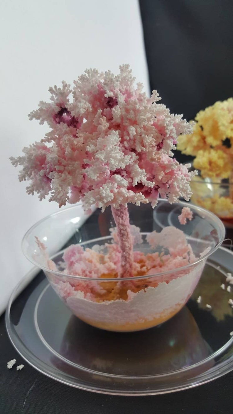 2X Crystal Growing Kits! Fun, Easy and Educational! Amazing and ...