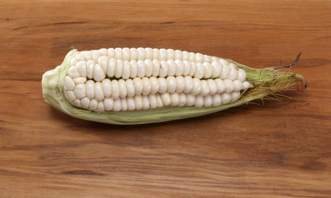 25 Giant Cuzco Corn Seeds World's Largest Kernels Direct - Etsy