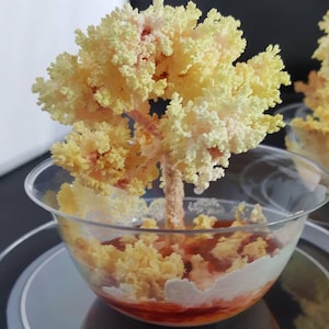 2X Crystal Growing Kits! Fun, Easy and Educational! Amazing and ...