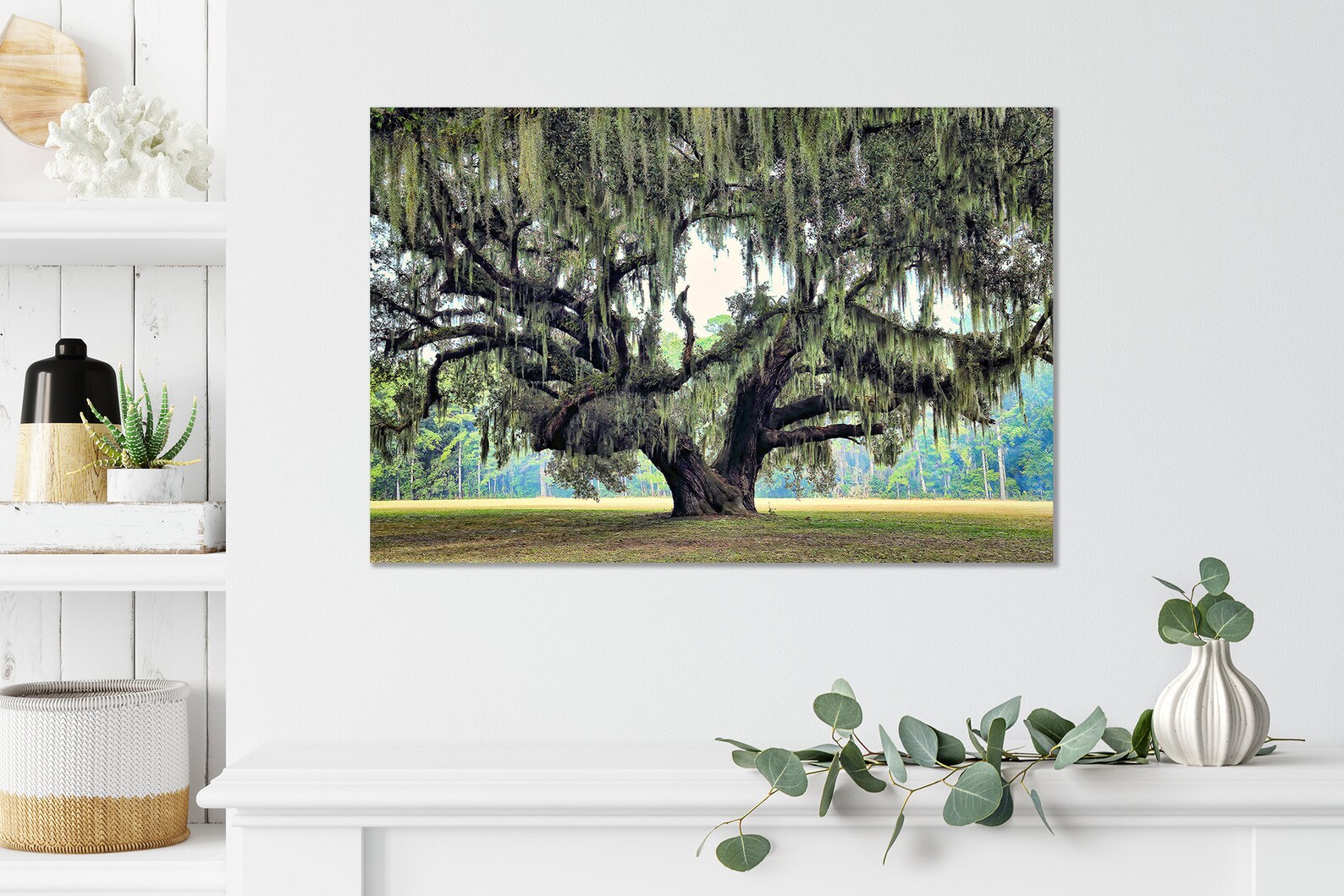 Grand Oak - Canvas - Etsy