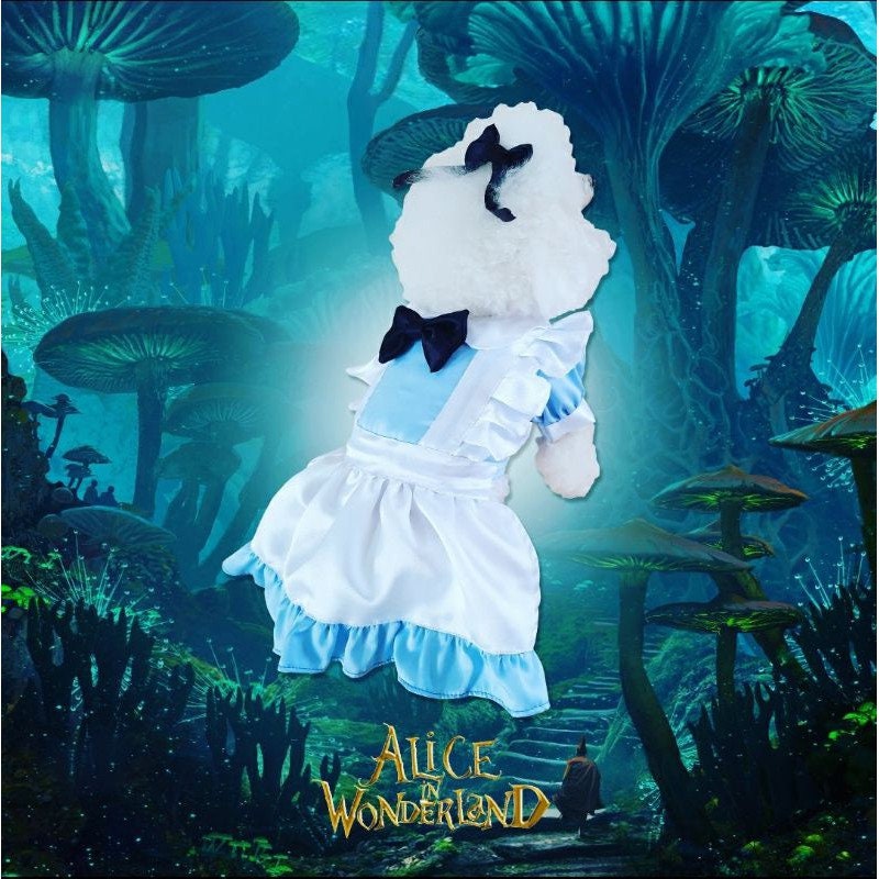 Alice in Wonderland Dog Costume Maid Halloween Small Dogs Fancy Clothes ...