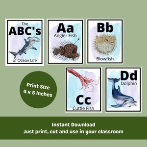 Ocean Life ABC Flashcards | Printable Alphabet Natural Practice ...