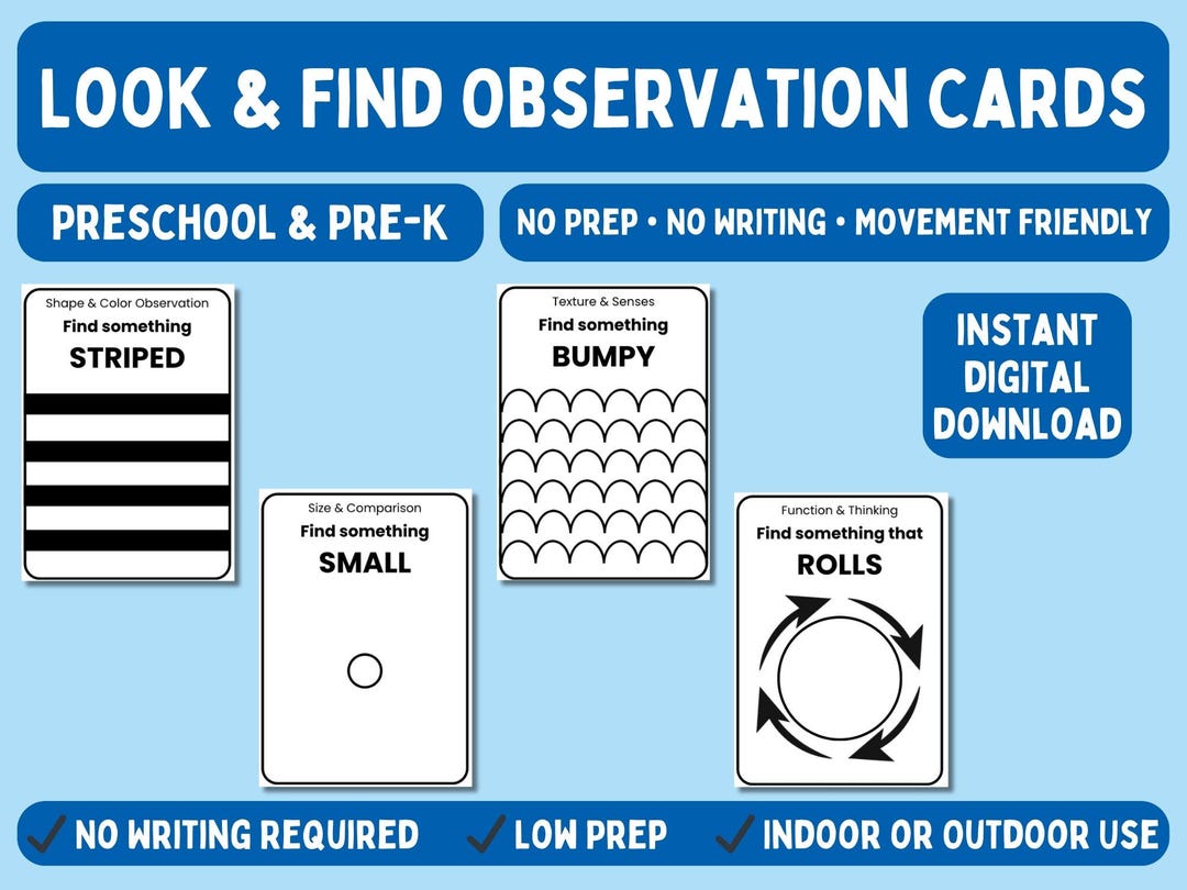 Look and Find Observation Cards for Preschool | No Prep Visual Learning ...