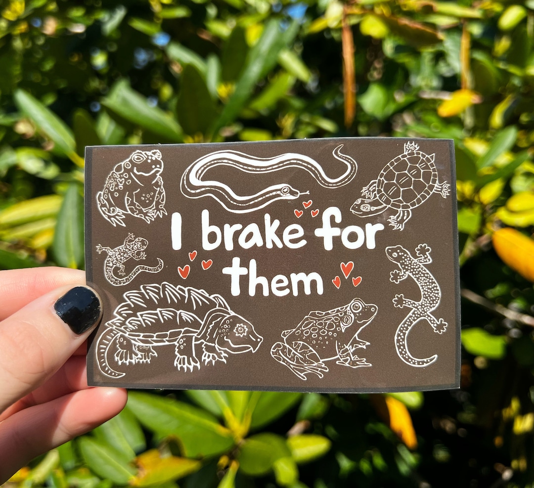 I Brake for Them Sticker - Etsy