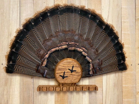 Turkey Fan Display | Etsy