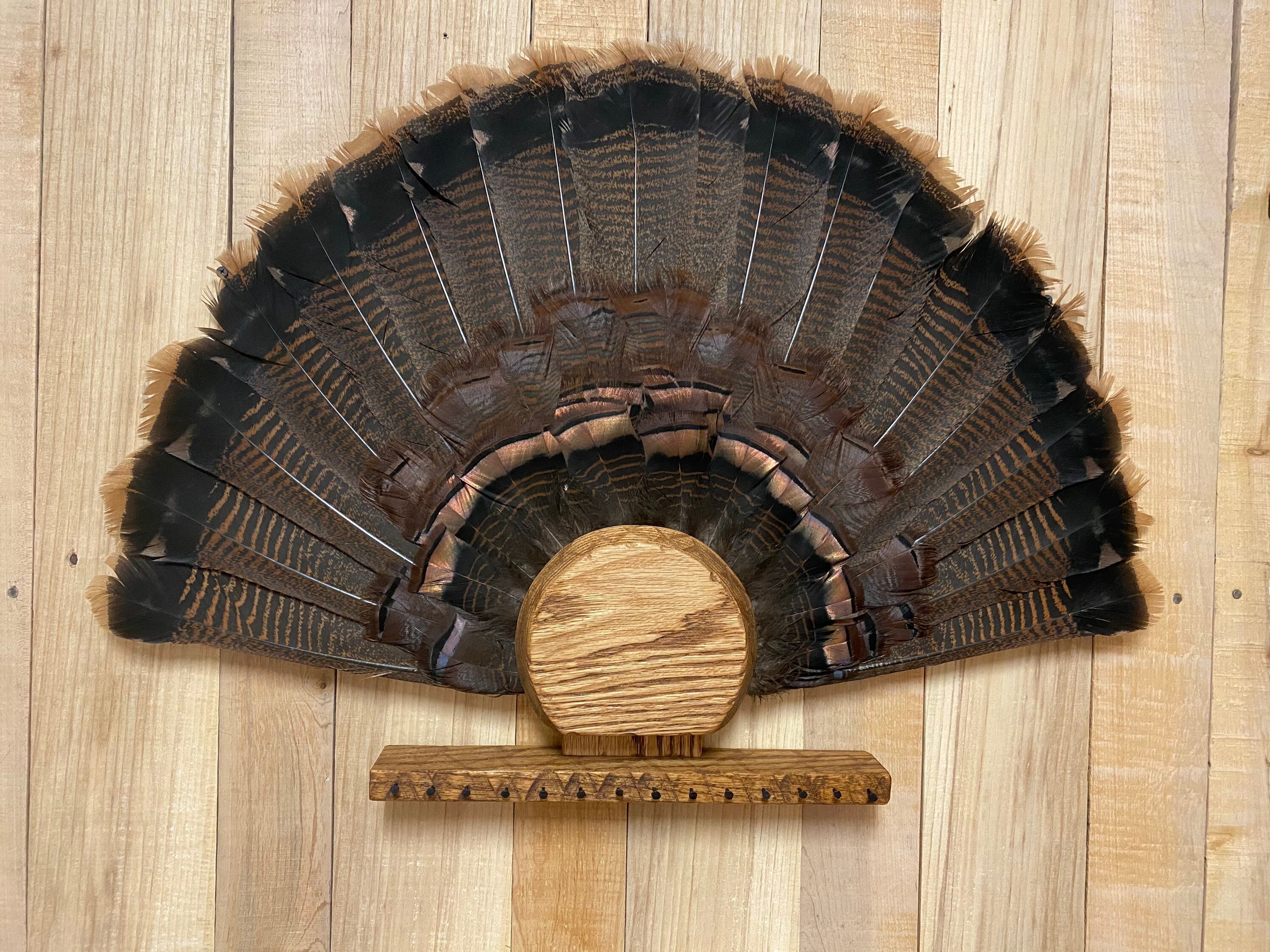 Turkey Fan Display | Etsy