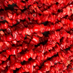 Bamboo Coral Raw Freeform Red Sea Coral Nugget Chip 4-8mm Bead. 15 ...