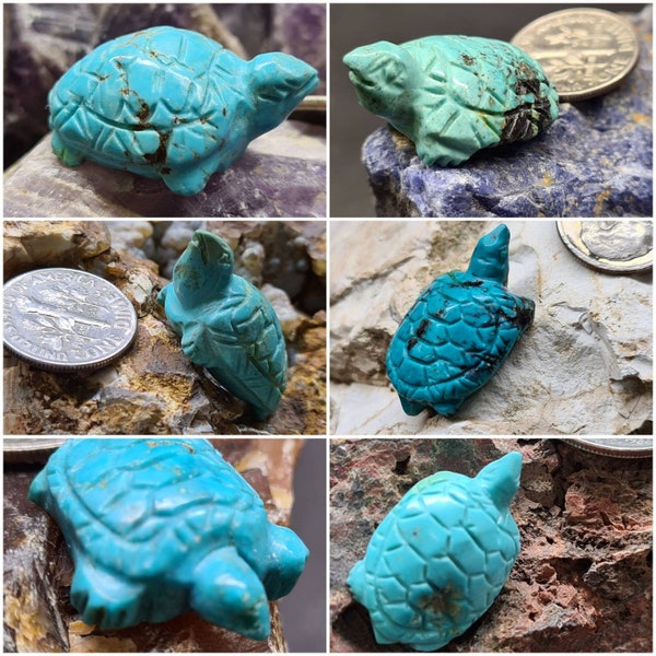 Turtle Totem - Etsy
