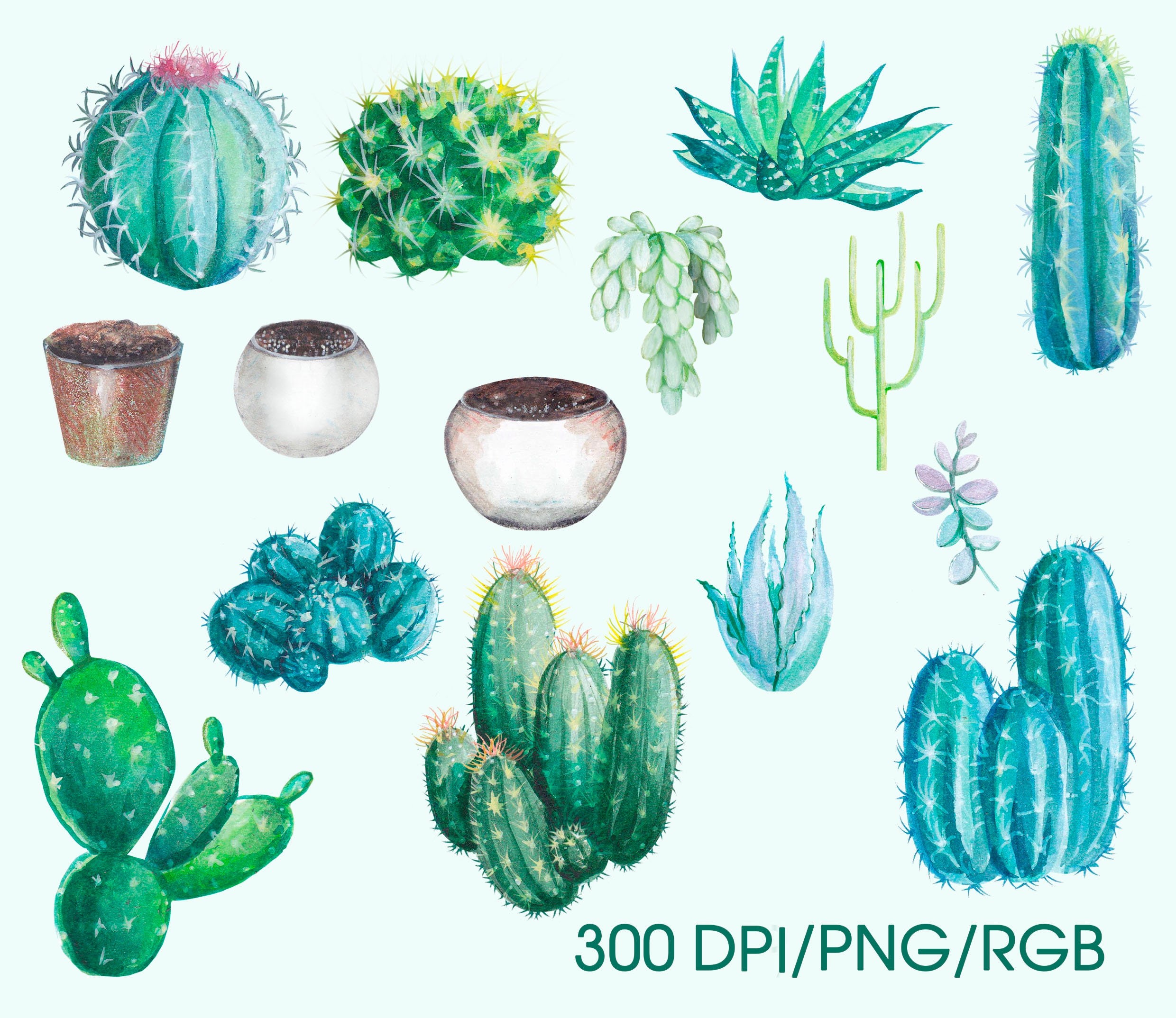Cactus Set.tropical Watercolor Plant Cacti.greenery Watercolor Clipart ...