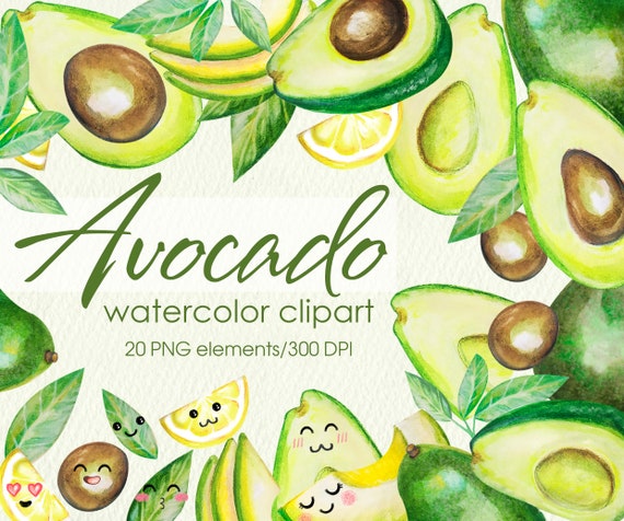 Avocado Clipart.watercolor Clipart.cute Avocado.avocado - Etsy