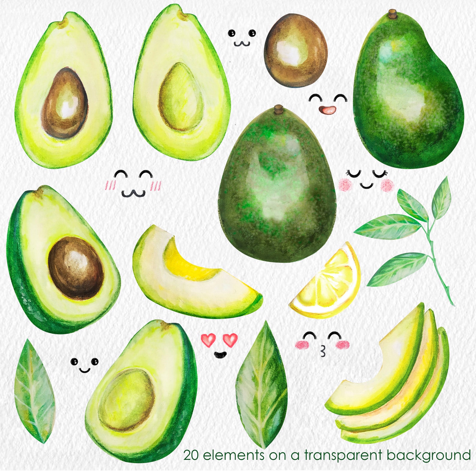 Avocado Clipart.watercolor Clipart.cute Avocado.avocado Clipart Set ...