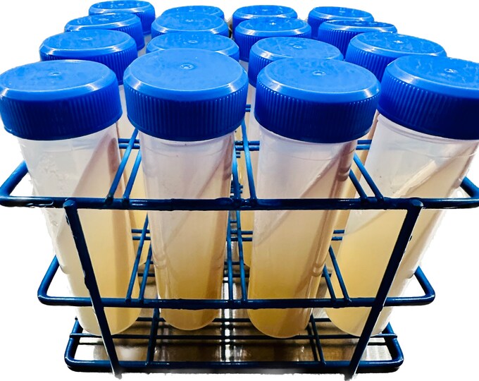 Agar Culture Slants 50ml - 4 Pack - Etsy