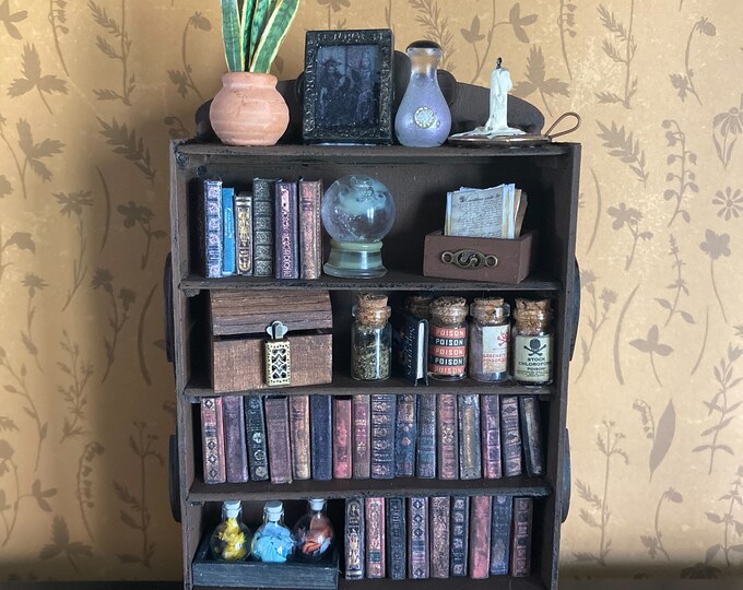 Miniature Magical Bookcase - Etsy