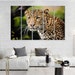 Leopard Wall Art Leopard Printing on Canvas Leopard Wall Decor - Etsy