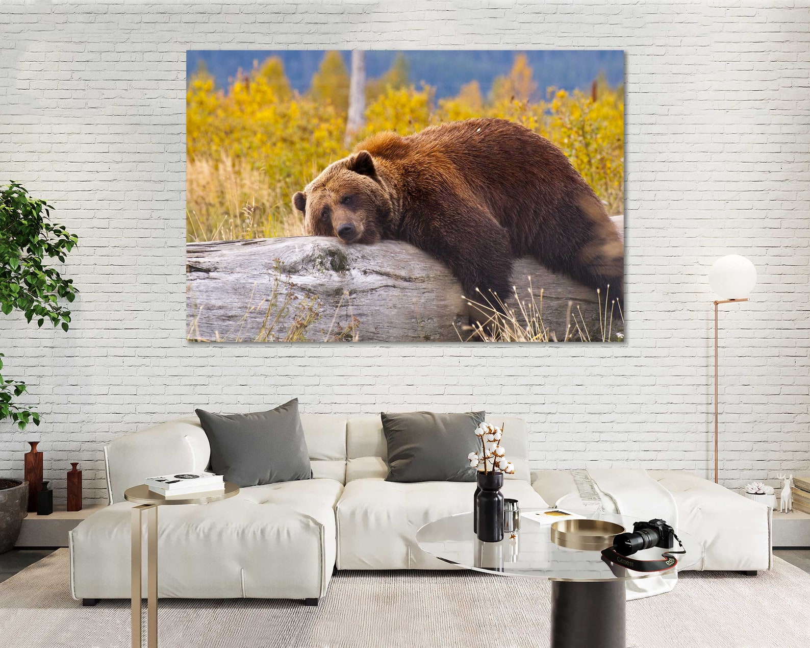 Brown Bear Resting on a Log Original Art Room Bear Photo Print Canvas ...