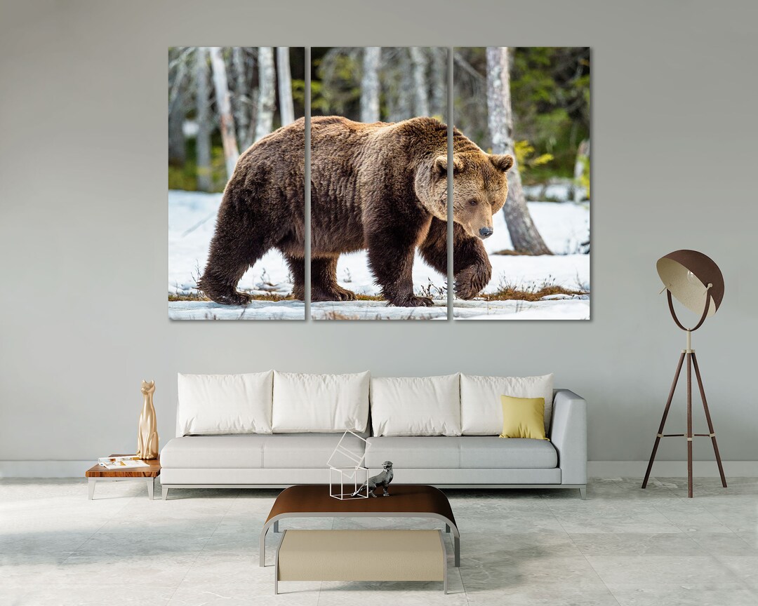Brown Bear on Prints Brown Bear for Decoration Extra Large - Etsy UK