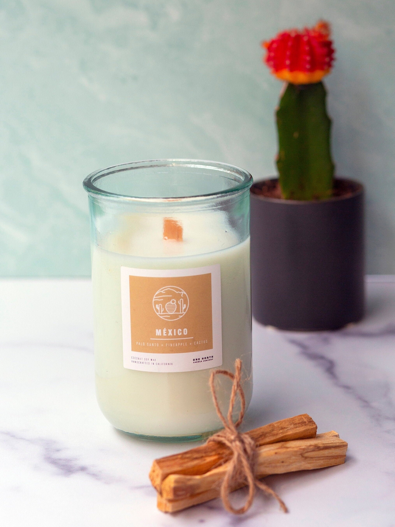 México Candle: Palo Santo, Pineapple, Cactus - Coconut Soy Wax | Travel ...